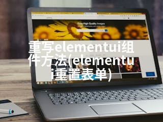 重写elementui组件方法(elementui重置表单) - 树叶云