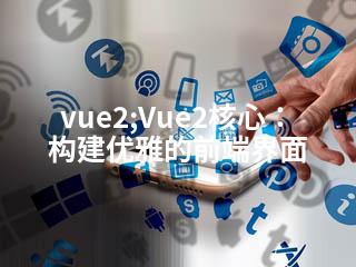 vue2;Vue2核心：构建优雅的前端界面 - 树叶云