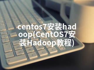 centos7安装hadoop(CentOS7安装Hadoop教程) - 树叶云