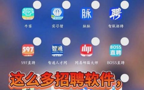 了解Linux MMIO——内存映射I/O技术（linuxmmio） - 树叶云