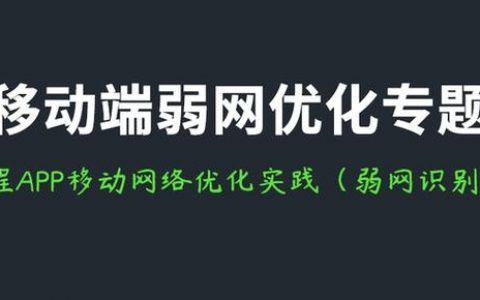 了解Linux MMIO——内存映射I/O技术（linuxmmio） - 树叶云