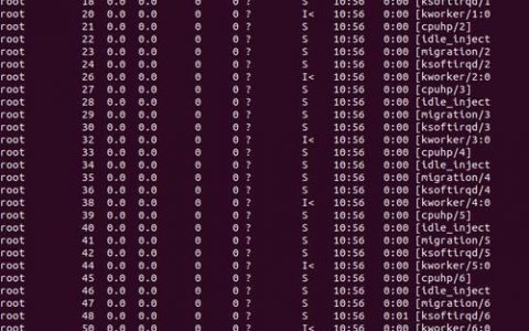 Linux下CtrlC失效处理方法 (linux ctrl c 没用) - 树叶云