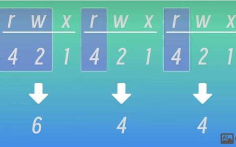 Linux下vdso.so.1的安装路径详解 (linux vdso.so.1位置) - 树叶云