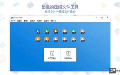深入探讨Linux中的gendisk：了解磁盘管理实践 (linux gendisk) - 树叶云