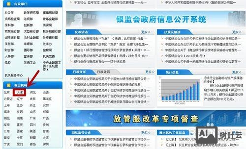 网站名冲突怎么办？30字内解决方法？ - 树叶云